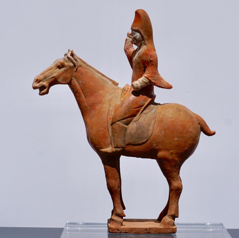 Tang Dynasty Horse and Polo Rider, '618 AD to 906 AD' at 1stDibs