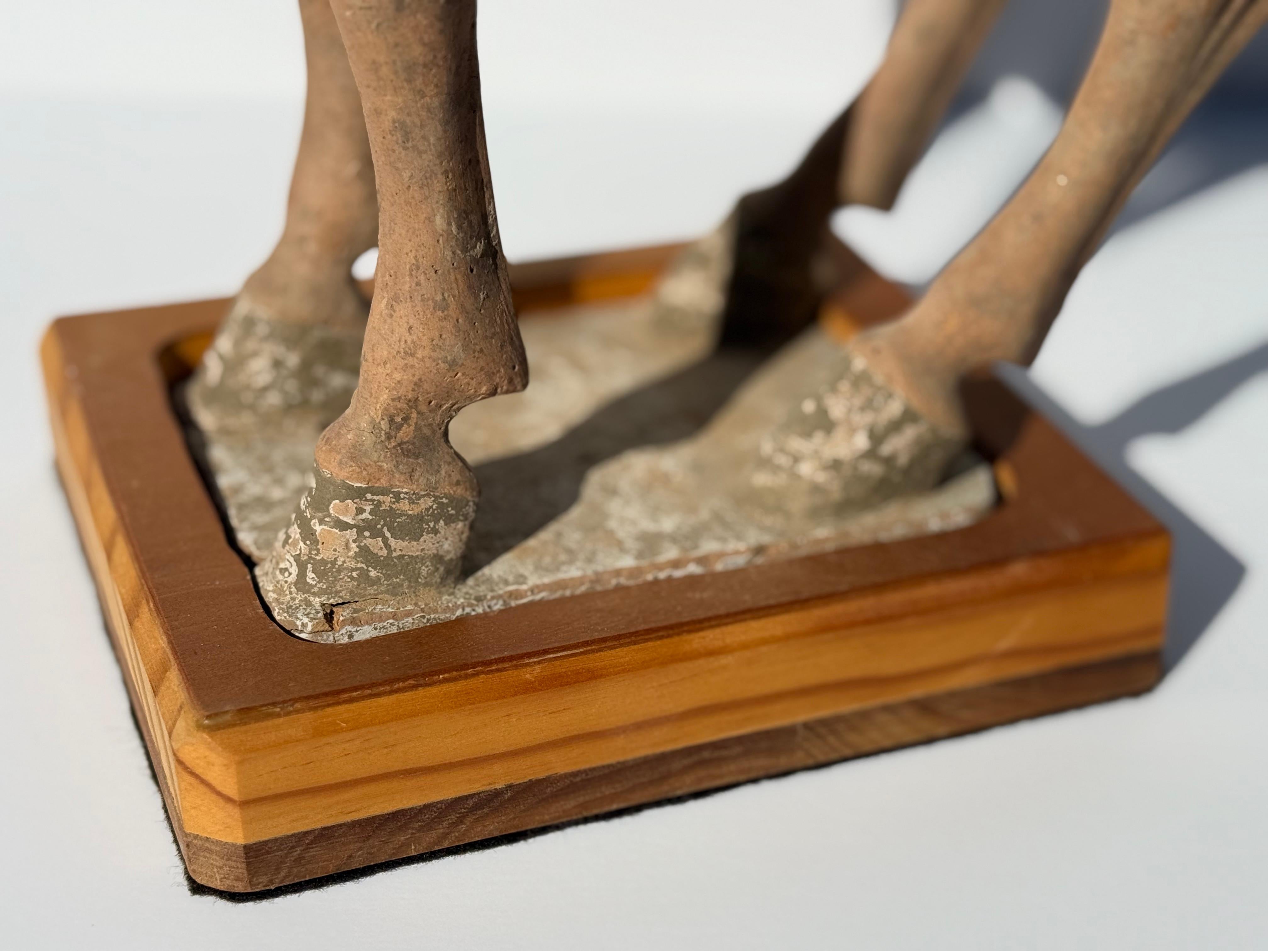 Tang Dynasty Polychrom Pottery Horse And Rider For Sale at 1stDibs