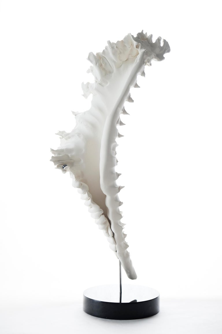 Tanis Saxby - Clay Abstract Sculpture: 'Oyster Shell' For Sale at 1stDibs
