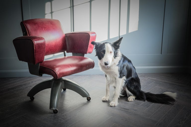Tansad De Luxe v.26 Red Leather Office Chair For Sale at 1stDibs