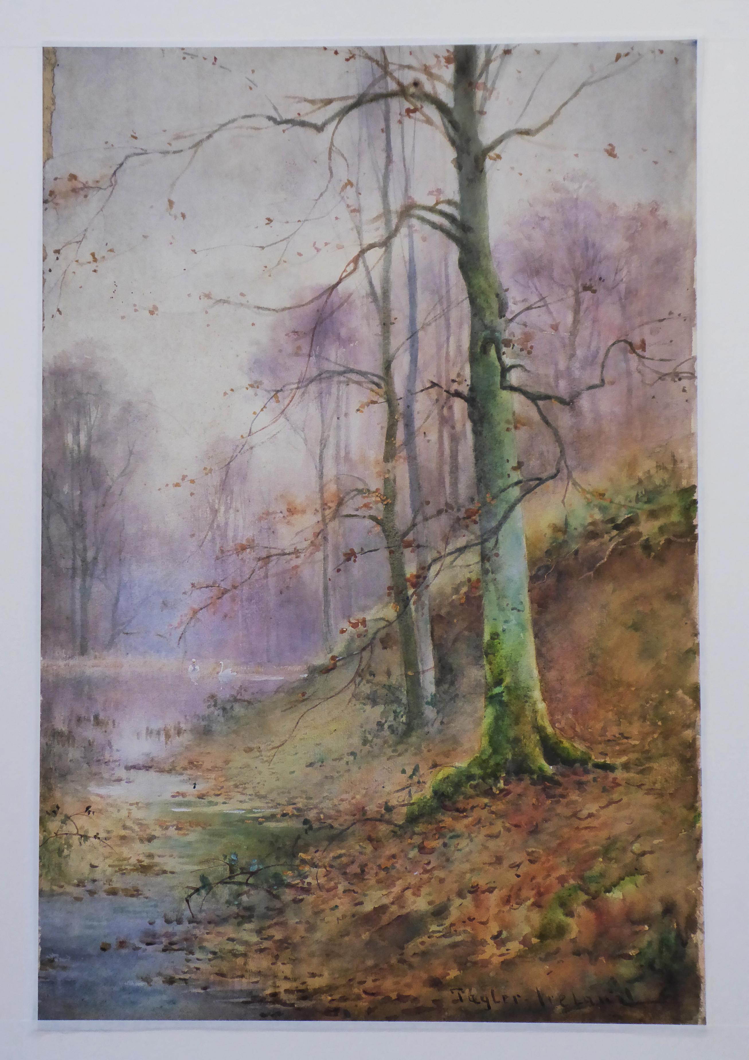 Tayler Ireland Watercolour Drawing For Sale at 1stDibs