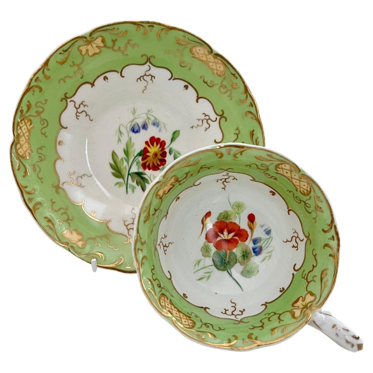 Teacup H&R Daniel, Apple Green with Red Flowers, Rococo Revival ca 1840 ...