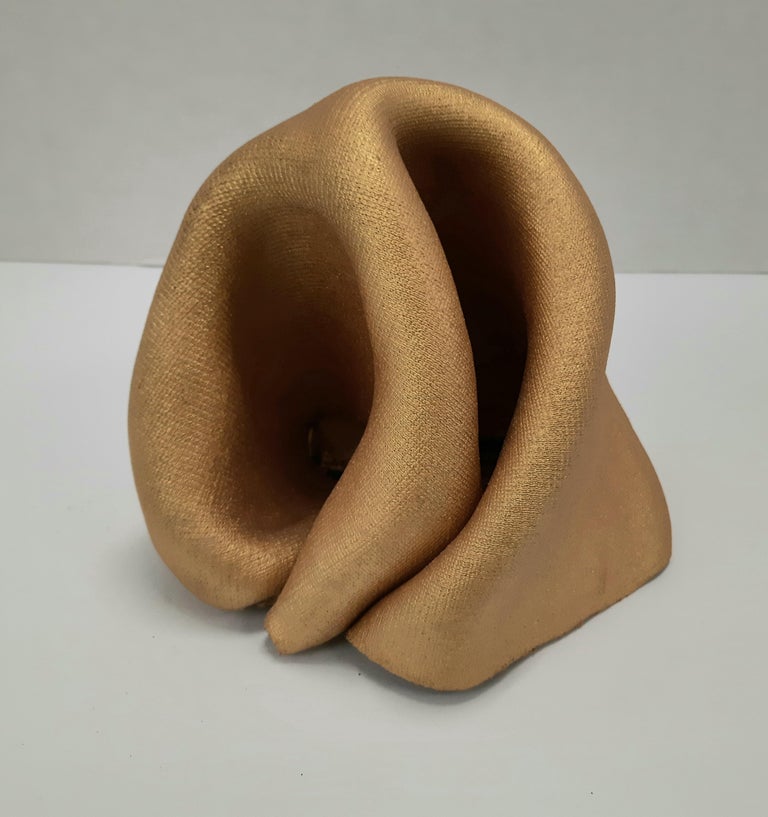 Ted VanCleave - sinuosity 143 gold (pop slick metallic smooth small ...