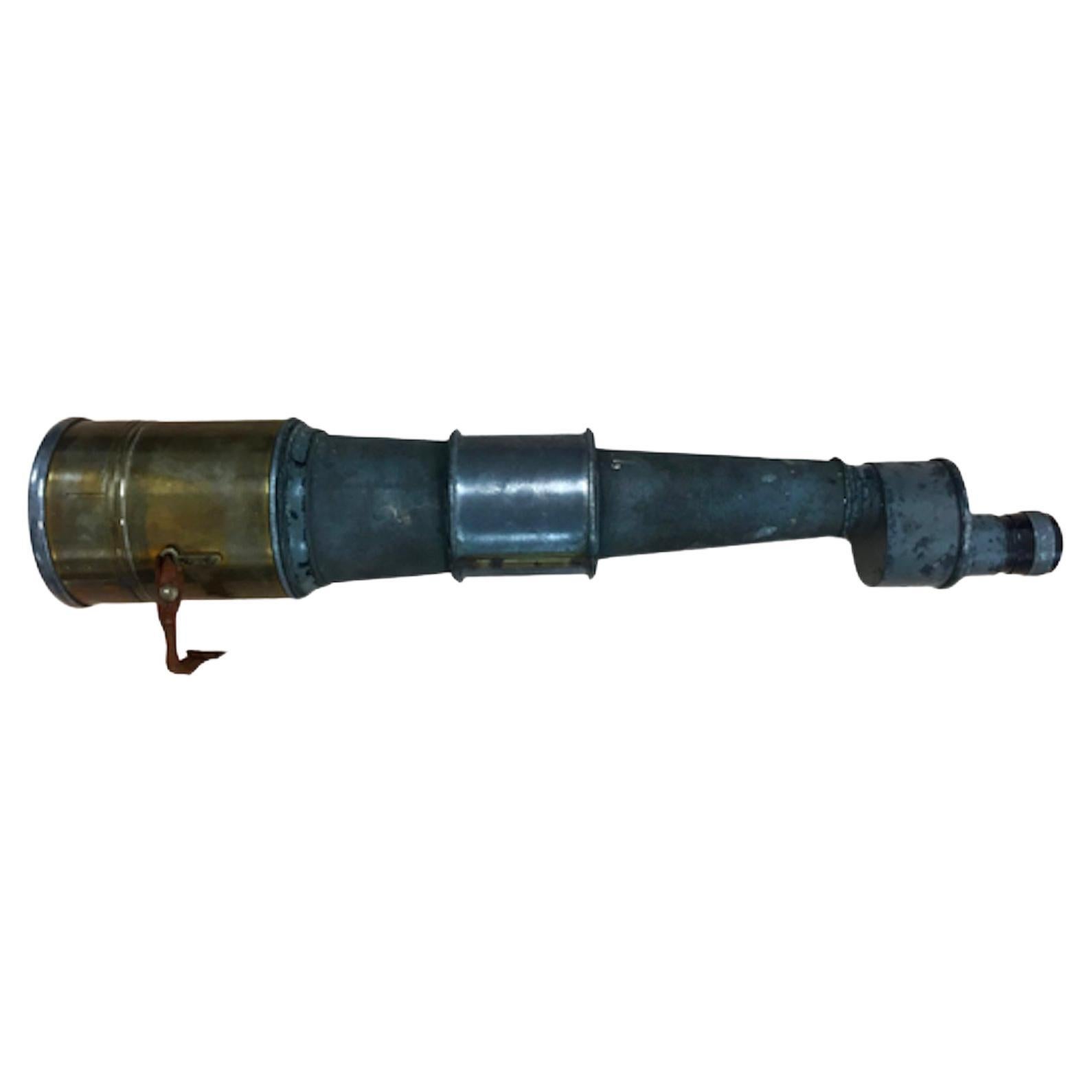 Set of Early 20th Century Seastars and Shells at 1stDibs