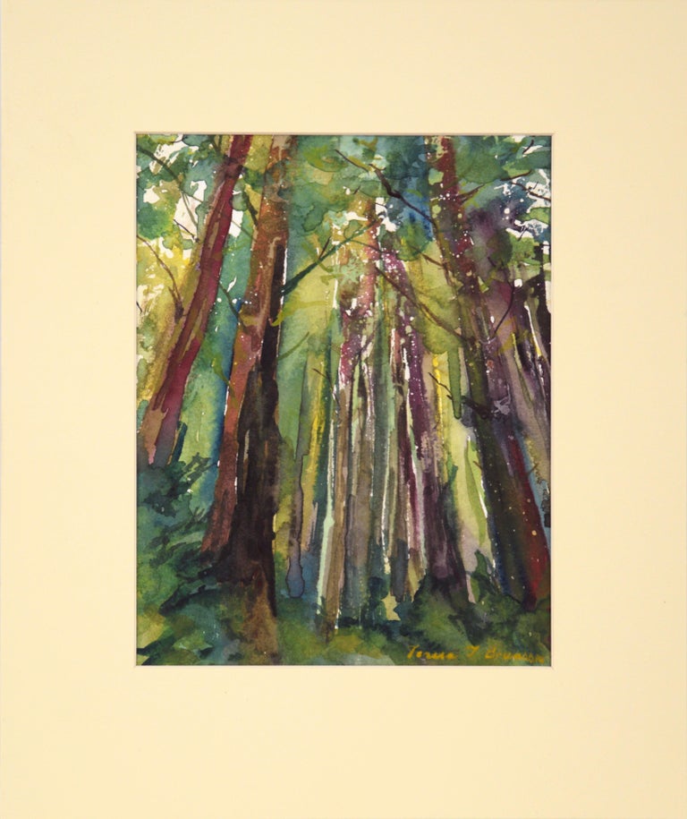 Teresa T. Brunson - Looking Up at the Trees - Redwood Forest Landscape ...