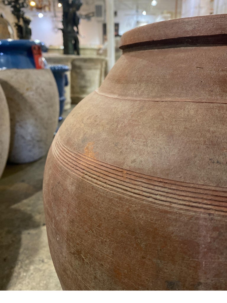 Terra Cotta Planter at 1stDibs