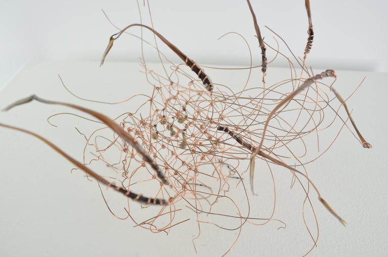 Terri Fraser - Wall sculpture: 'Maurizia' For Sale at 1stDibs