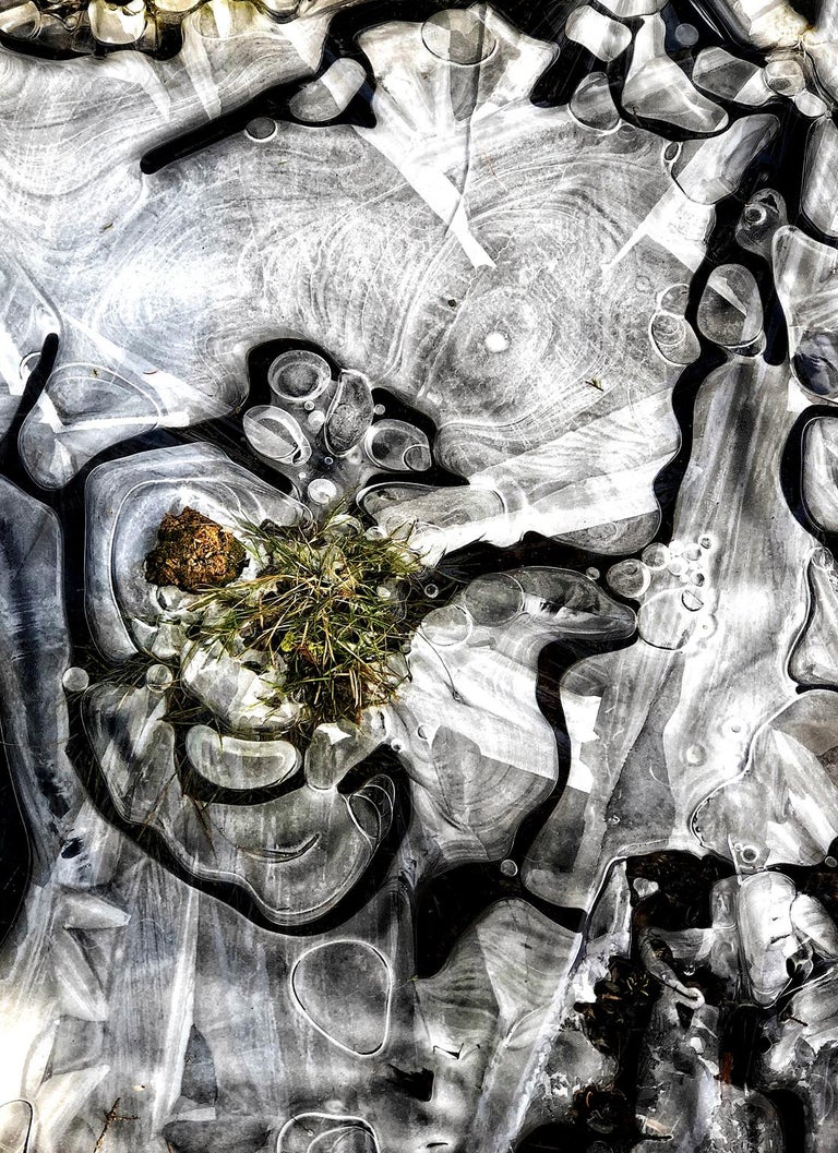 Terry Bell - Ice Abstract For Sale at 1stDibs