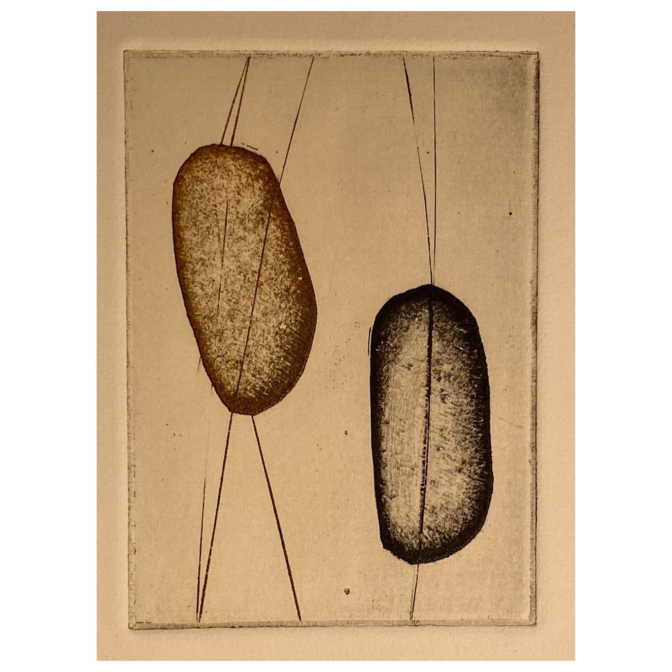 Tapis D'Emilio Terry: Projects (Book) For Sale at 1stDibs