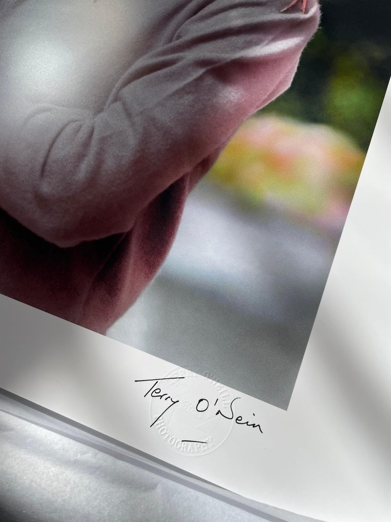 Terry O'Neill - Audrey Hepburn with Dove, 1966 For Sale at 1stDibs