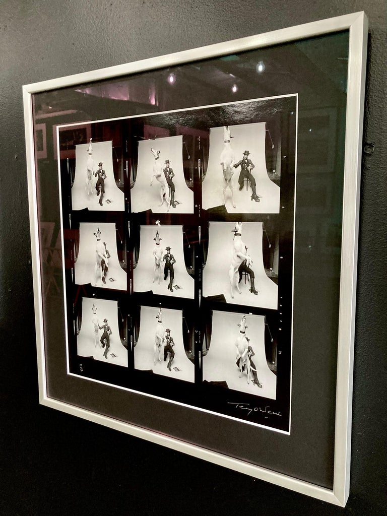 Terry O'Neill - Rare David Bowie "Diamond Dogs" contact sheet by Terry ...