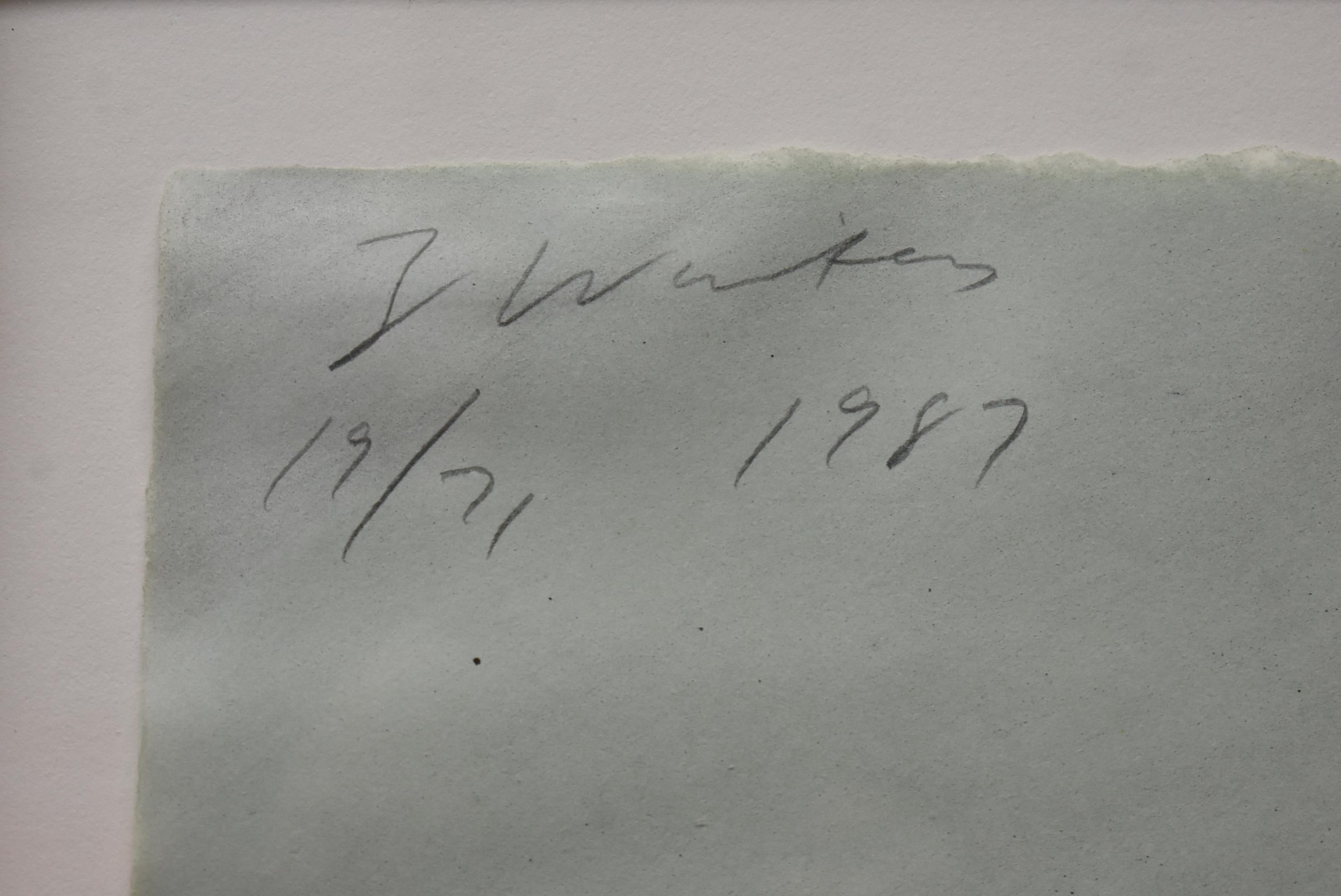 Terry Winters Modern Art Lithograph on Paper 19/71 at 1stDibs | pol mara