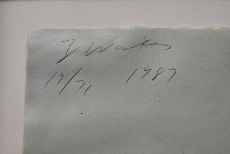 Terry Winters Modern Art Lithograph on Paper 19/71 For Sale at 1stdibs