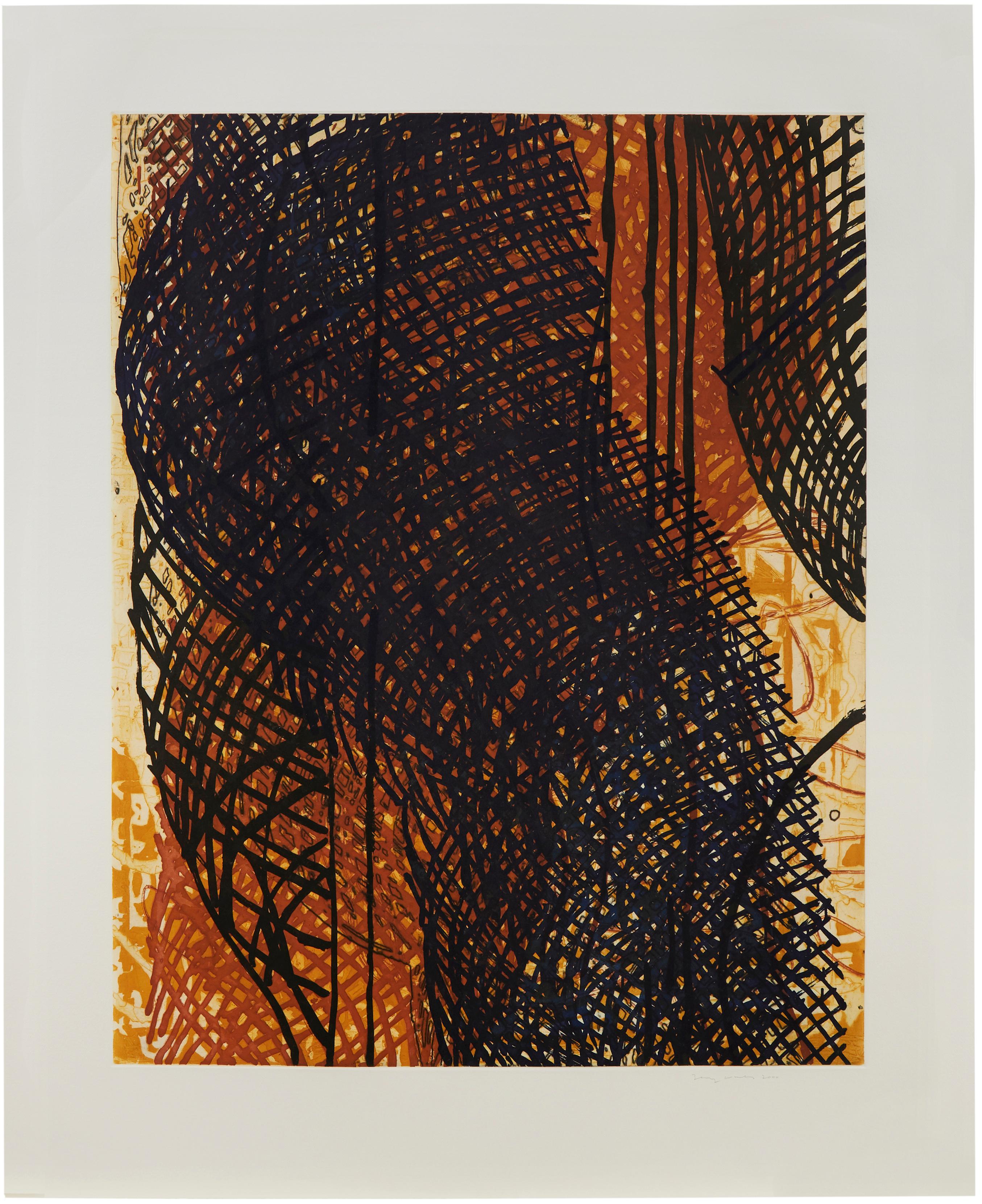 Terry Winters - "Untitled For B.M.A" ( Brooklyn Academy of Music) For ...