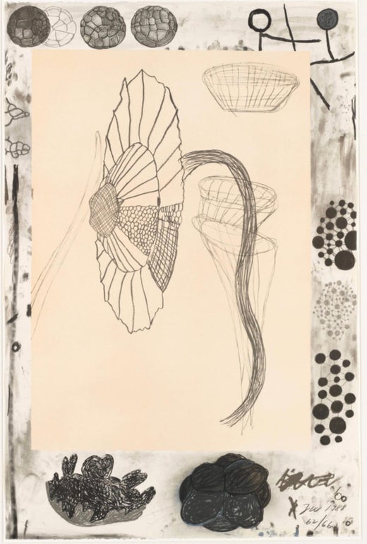 Terry Winters - Models for Synthetic Pictures, 9 For Sale at 1stDibs ...