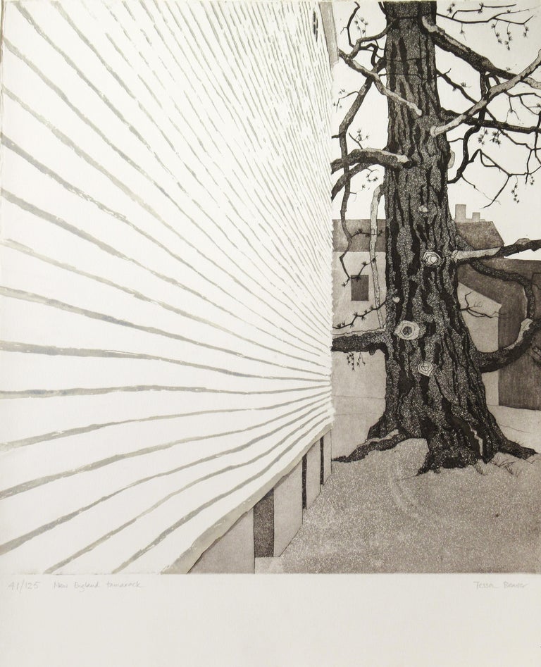 Tessa Beaver - New England Tamarack For Sale at 1stDibs