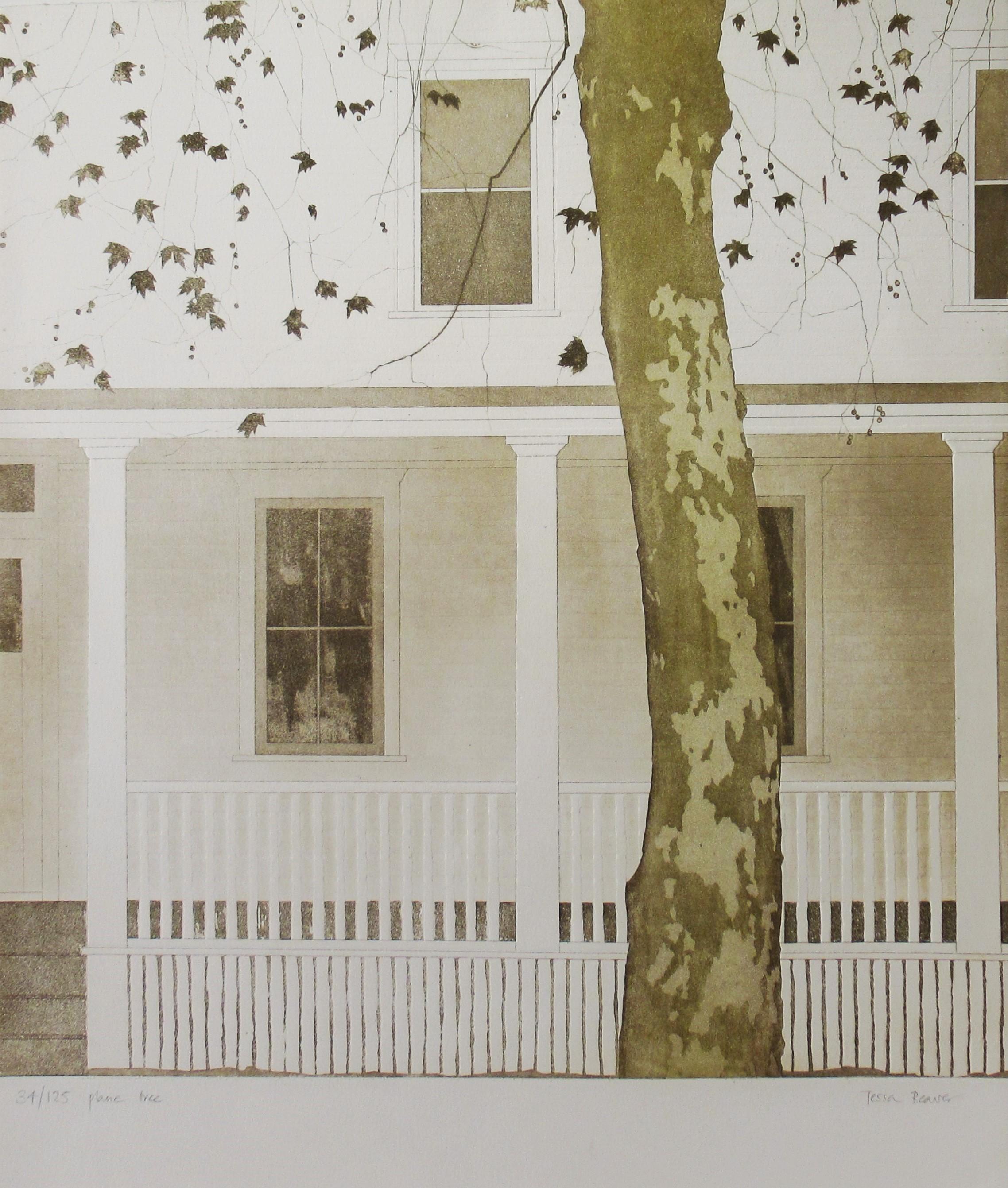 Tessa Beaver - Plane Tree at 1stDibs