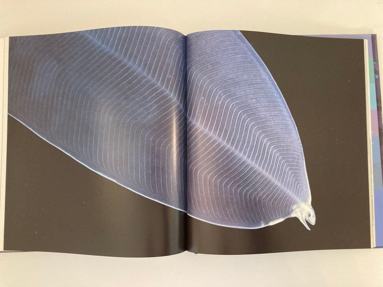 The Blue Planet a Natural History of the Oceans Hardcover Book For Sale ...