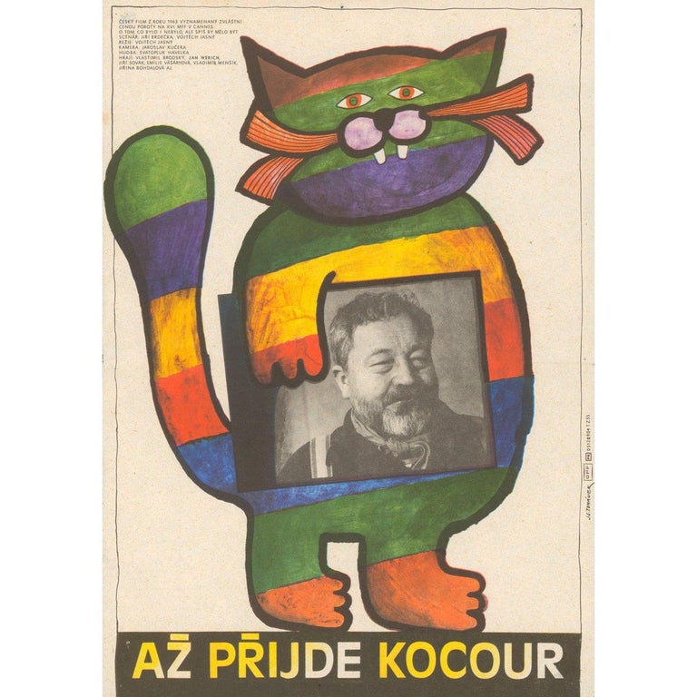 The Cassandra Cat 1963 Czech A3 Film Poster For Sale at 1stDibs