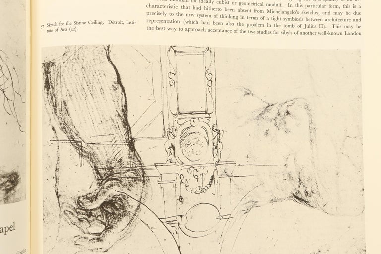 Complete Work of Michelangelo For Sale at 1stDibs