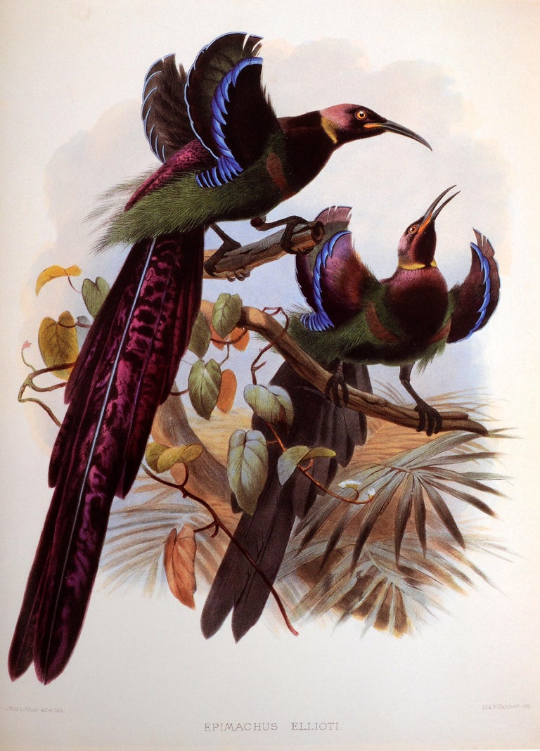 The Estate of Peter Jay Sharp, Thursday January 13 1994, Sotheby's For ...