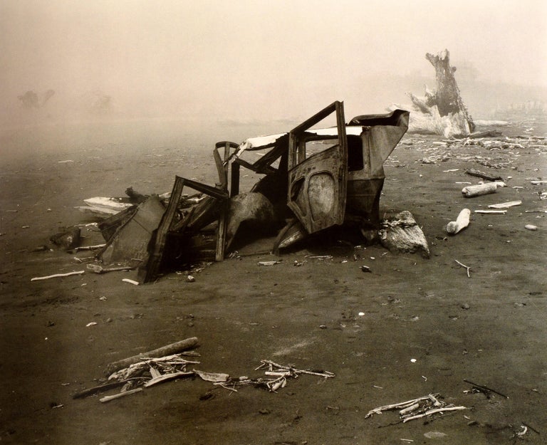 The Gernsheim Collection, Edited by Roy Flukinger, 1st Ed For Sale at ...