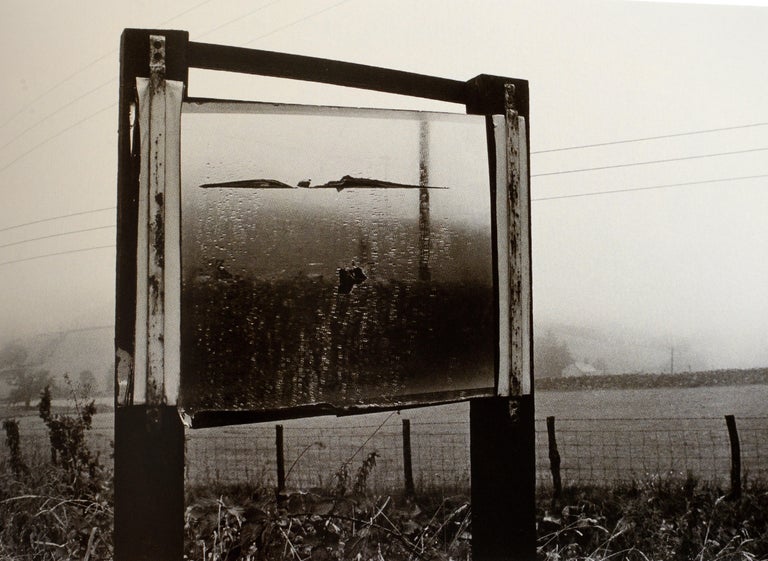 The Gernsheim Collection, Edited by Roy Flukinger, 1st Ed For Sale at ...