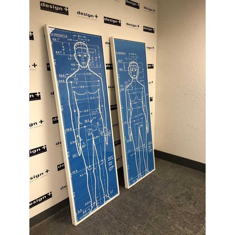 "The Measure of Man" Framed Posters, a Pair at 1stDibs