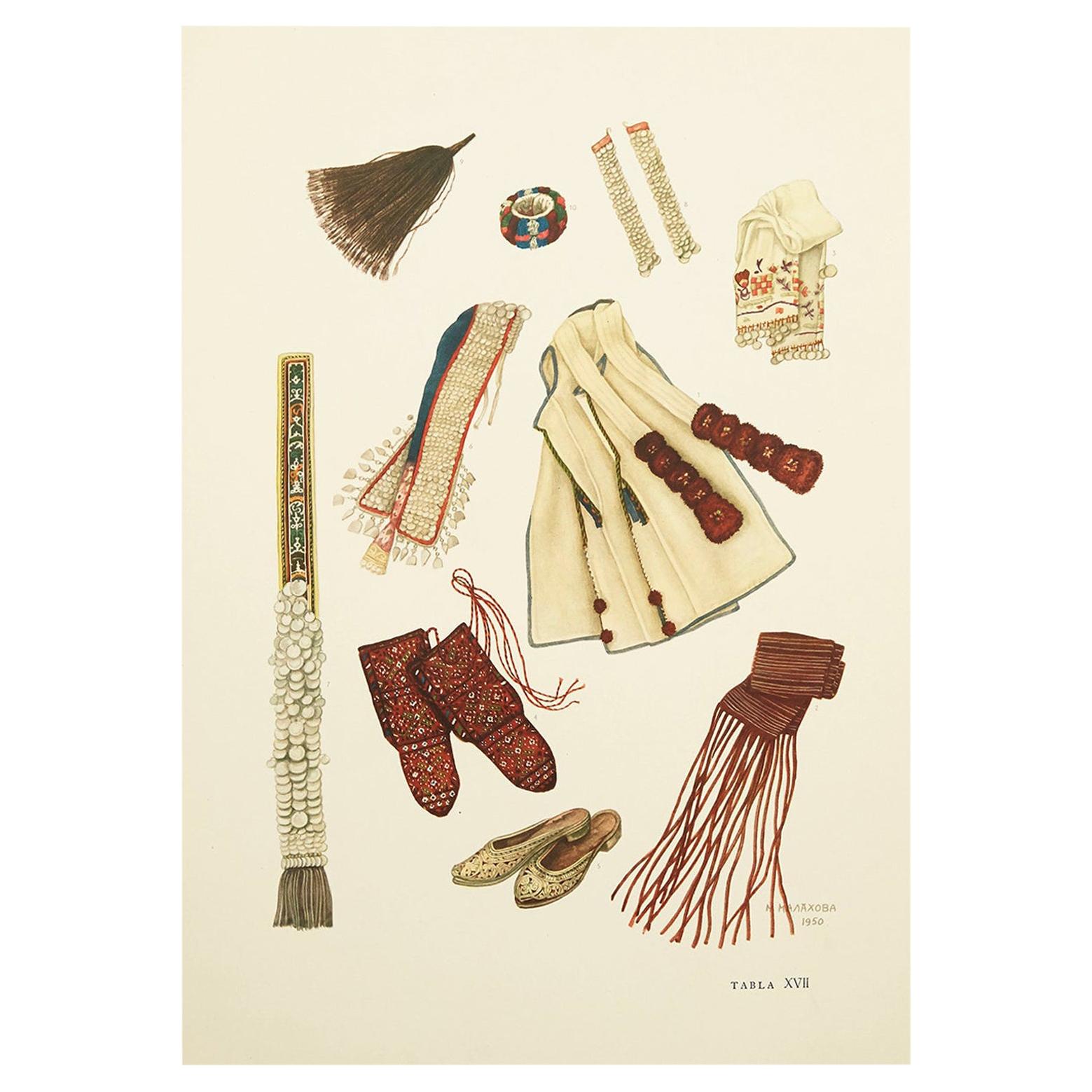 The National Dresses of Macedonia Illustrated Drawing in Plate, 1963 ...