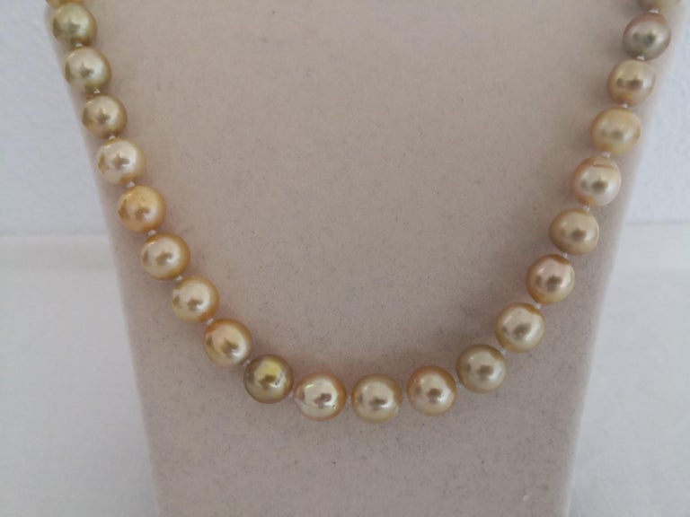 Natural Golden Color South Sea Pearls For Sale at 1stDibs