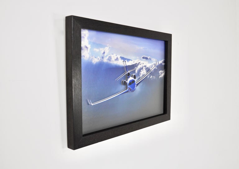 The Plane by Michael Scheers For Sale at 1stDibs