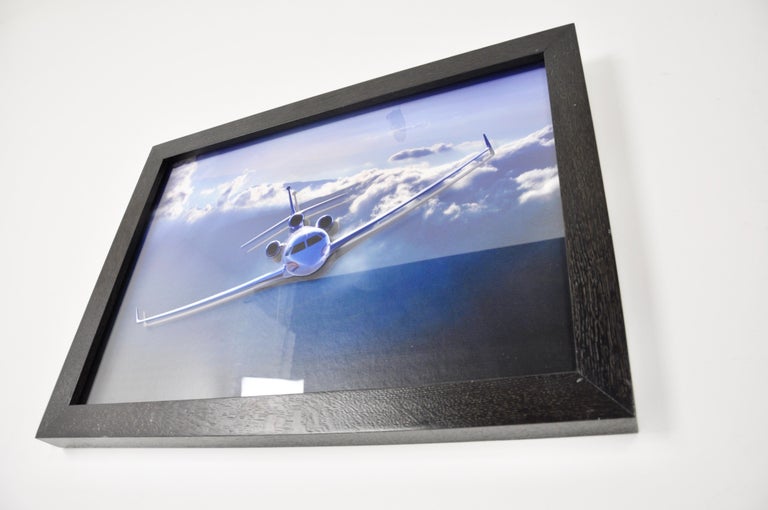 The Plane by Michael Scheers For Sale at 1stDibs