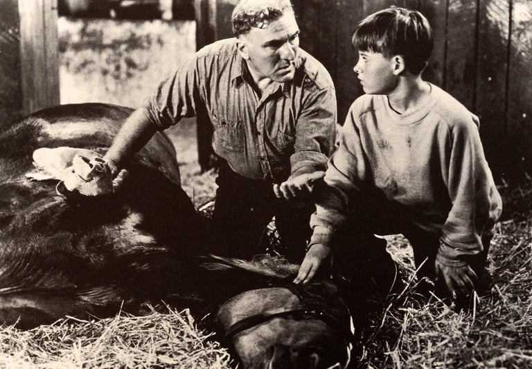 The United Artists Story by Ronald Bergan, Stated 1st Edition For Sale ...