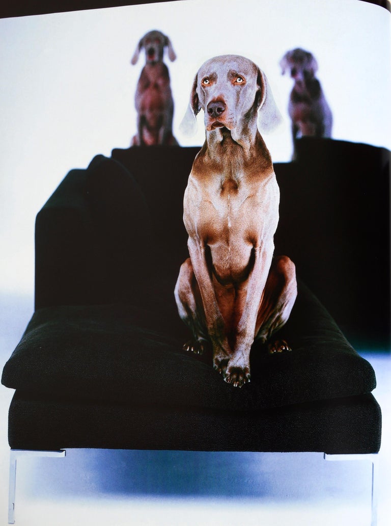 The Well-Lived Life by Dominique Browning, Signed and Dedicated to ...