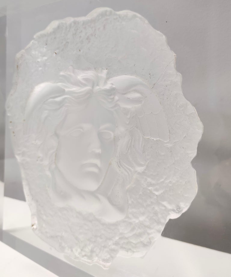 Thick Transparent Plexiglass Decorative Panel with Gorgon by Versace ...