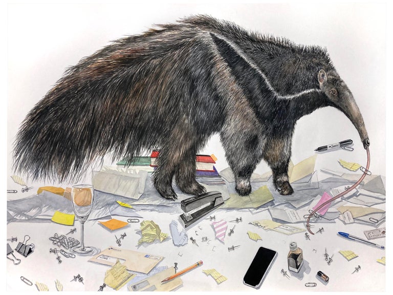 Pet Anteater Artist
