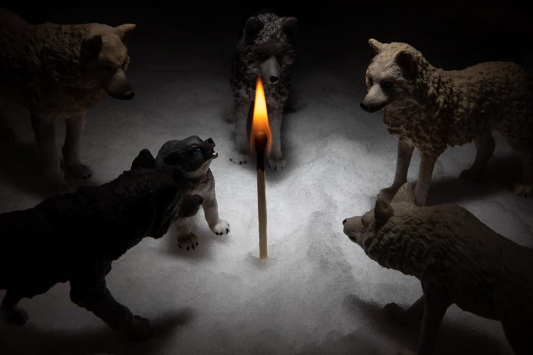 Thomas Hagen - A Flame's Guidance For Sale at 1stDibs