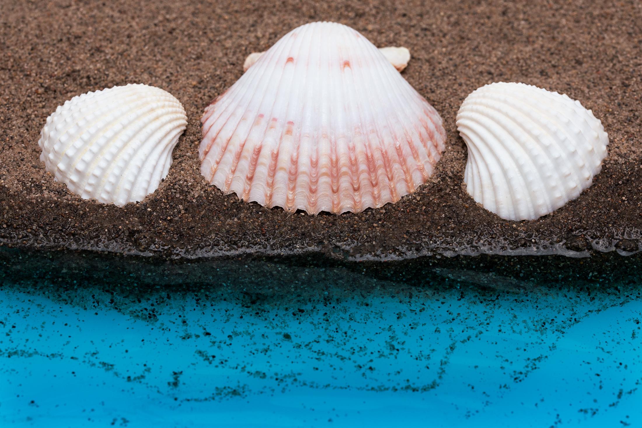 Thomas Hagen - Cycle of Water For Sale at 1stDibs