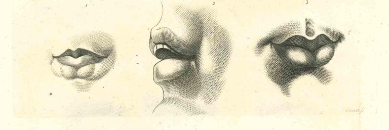 Thomas Holloway - Lips - The Physiognomy - Original Etching by Thomas ...
