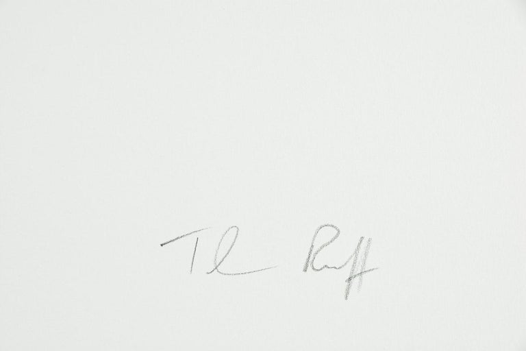 Thomas Ruff - THOMAS RUFF: Tripe 08 - 21st Century, Modern, Landscape ...