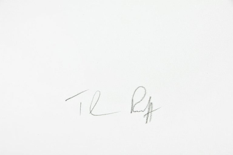 Thomas Ruff - THOMAS RUFF: Tripe 09 - 21st Century, Modern, Landscape ...