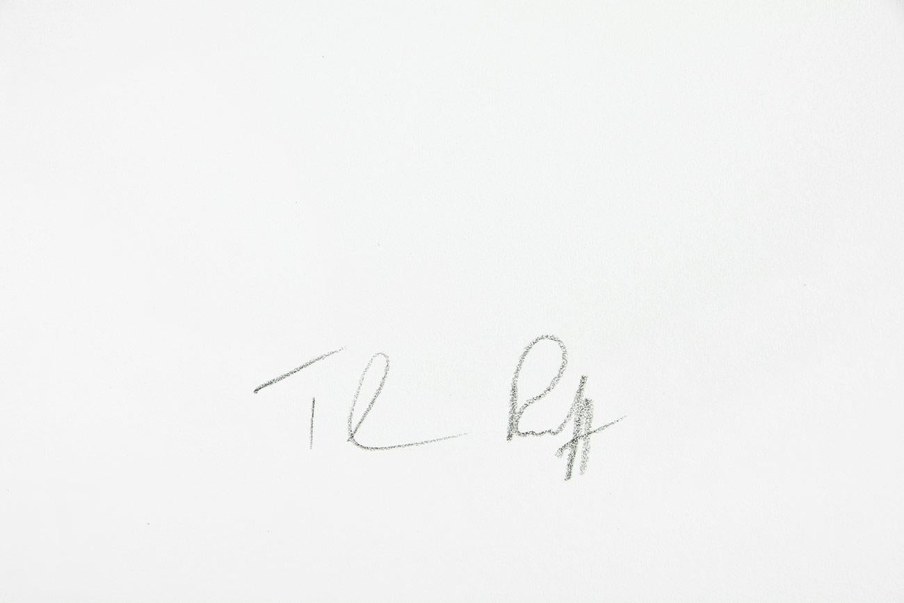 Thomas Ruff - Thomas Ruff - TRIPE 09 21st Century Modern Photography ...