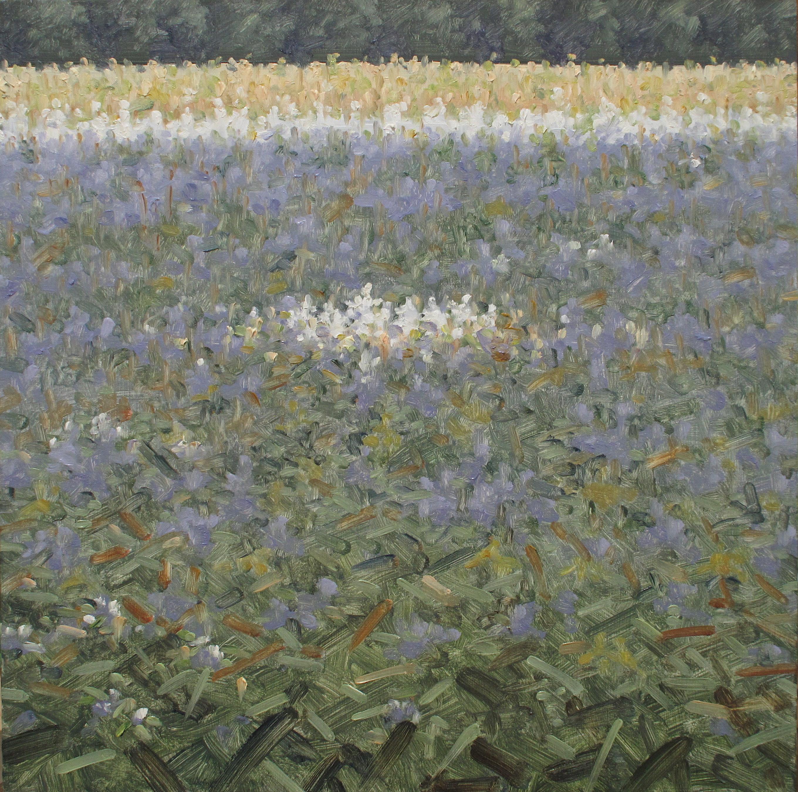 Thomas Sarrantonio - Performance, Square Botanical Landscape, Purple ...