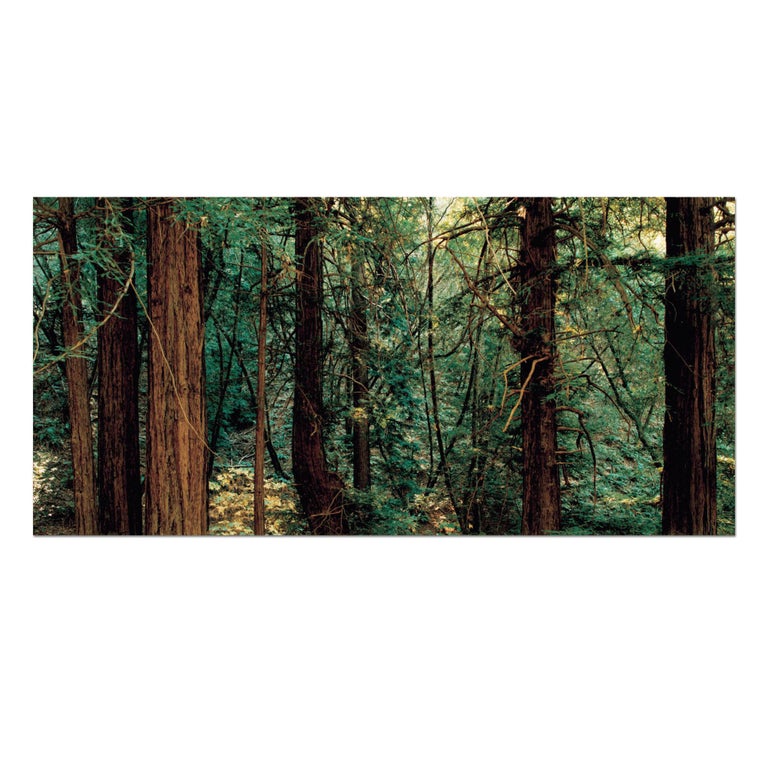 Thomas Struth - Thomas Struth, Yosemite - Contemporary Photography ...