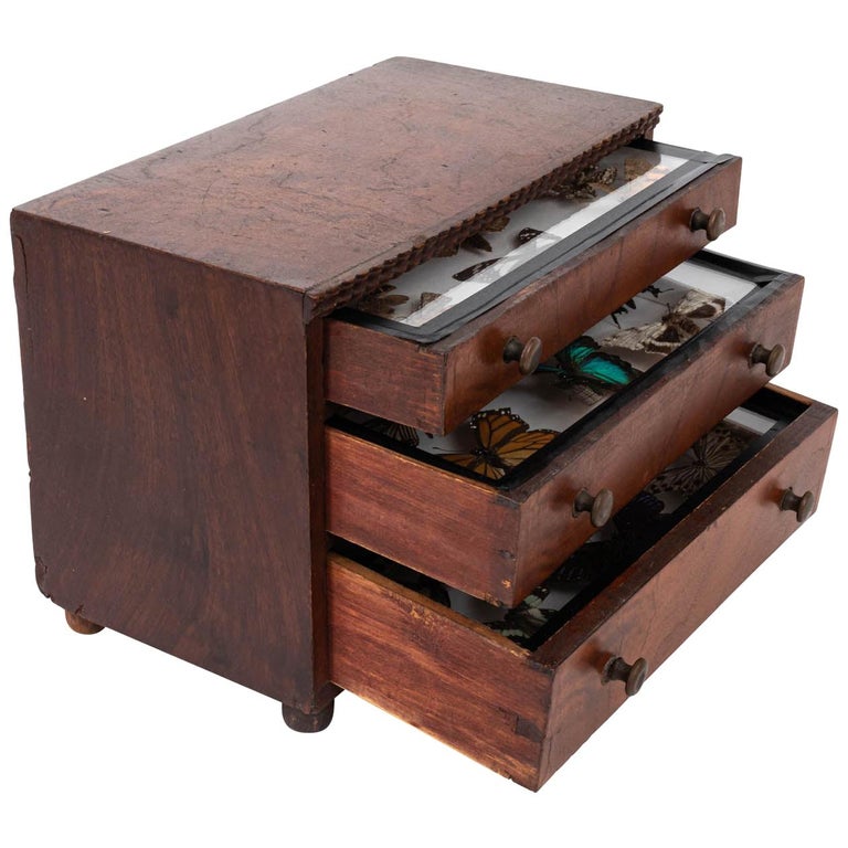 Three-Drawer Butterfly Cabinet at 1stDibs