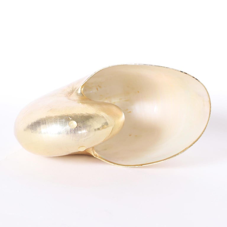 Three Gold Plated Nautilus Shells, Priced Individually For Sale at 1stDibs