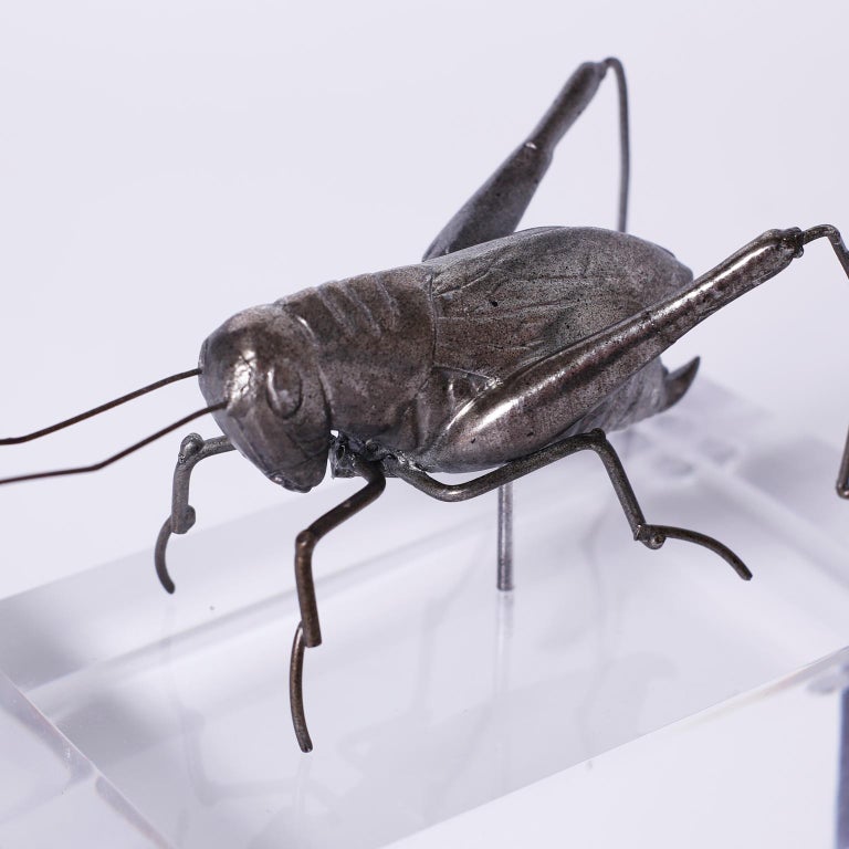 Two Mid Century Insect Sculptures on Lucite at 1stDibs