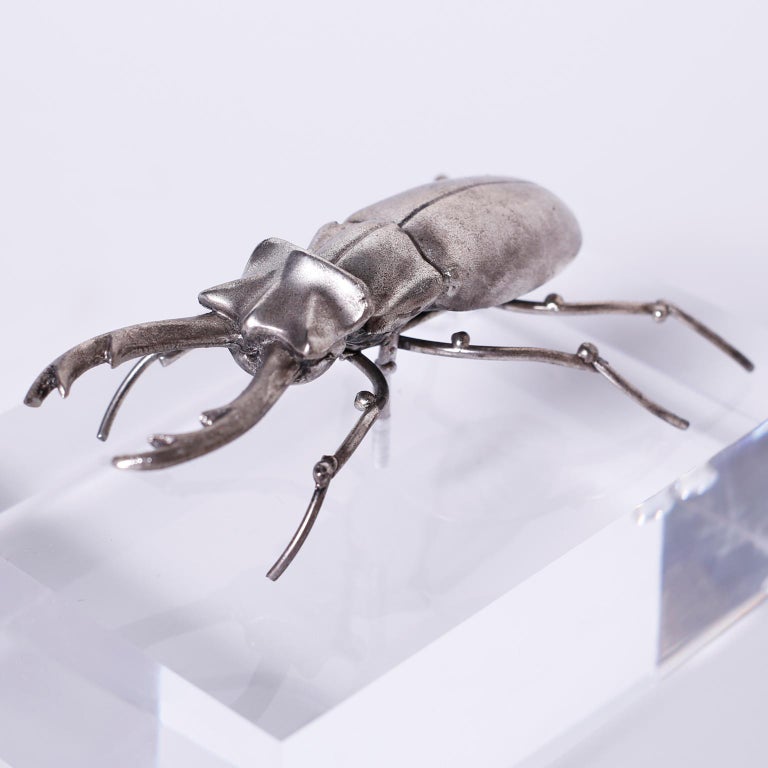 Two Mid Century Insect Sculptures on Lucite at 1stDibs