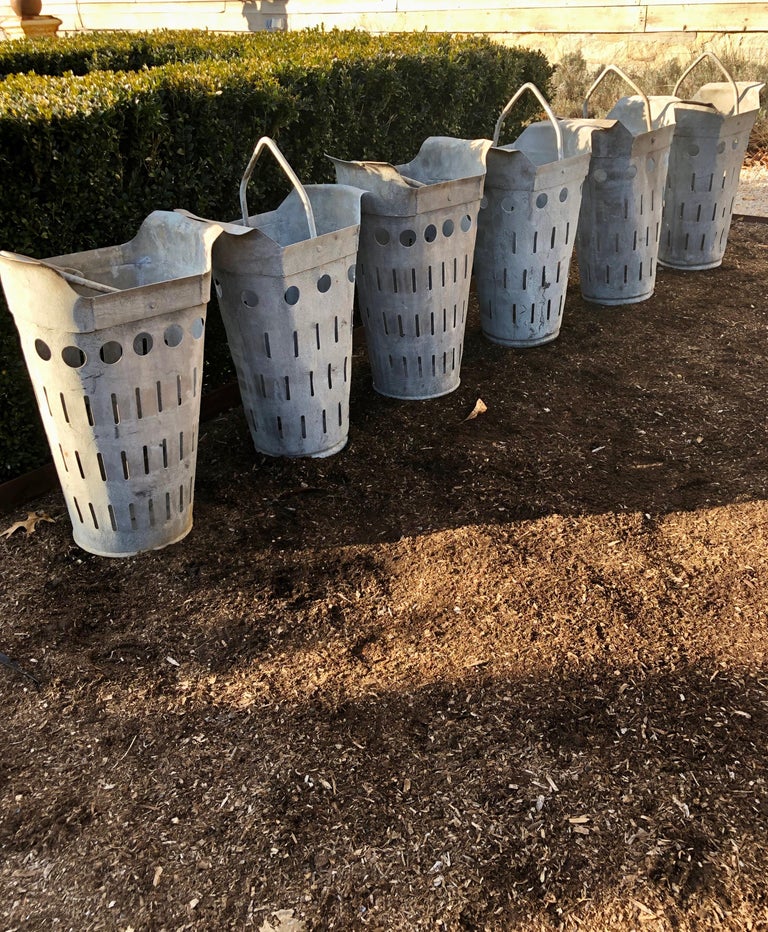 Two Pairs of French Perforated Zinc Florist Pots with Handles For Sale ...