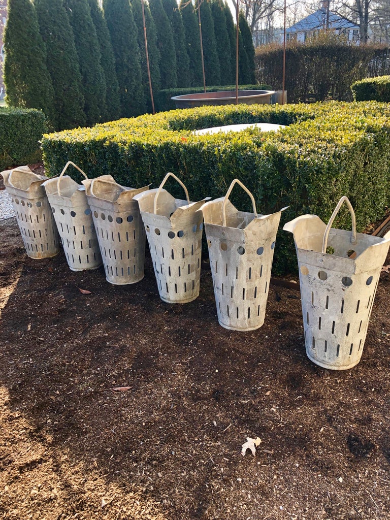 Two Pairs of French Perforated Zinc Florist Pots with Handles For Sale ...